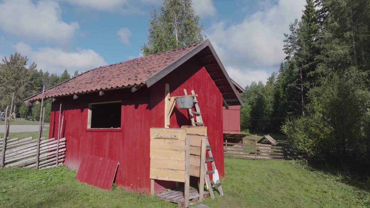 Farmen Norge - Avsnitt 23, Säsong 20