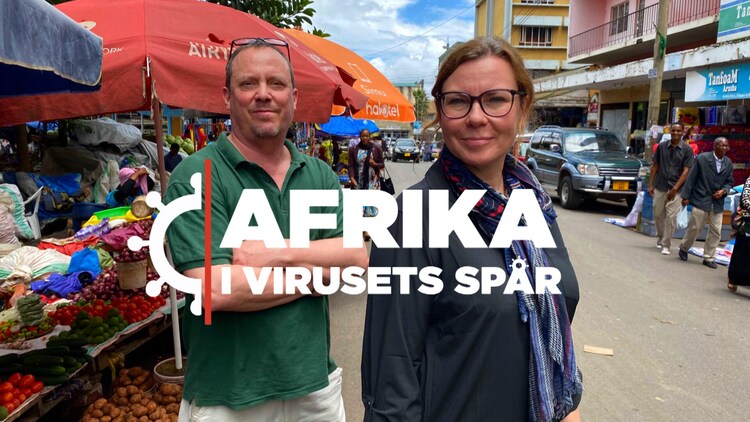 Alla program på TV4 Play - Streama dina favoritprogram när du vill