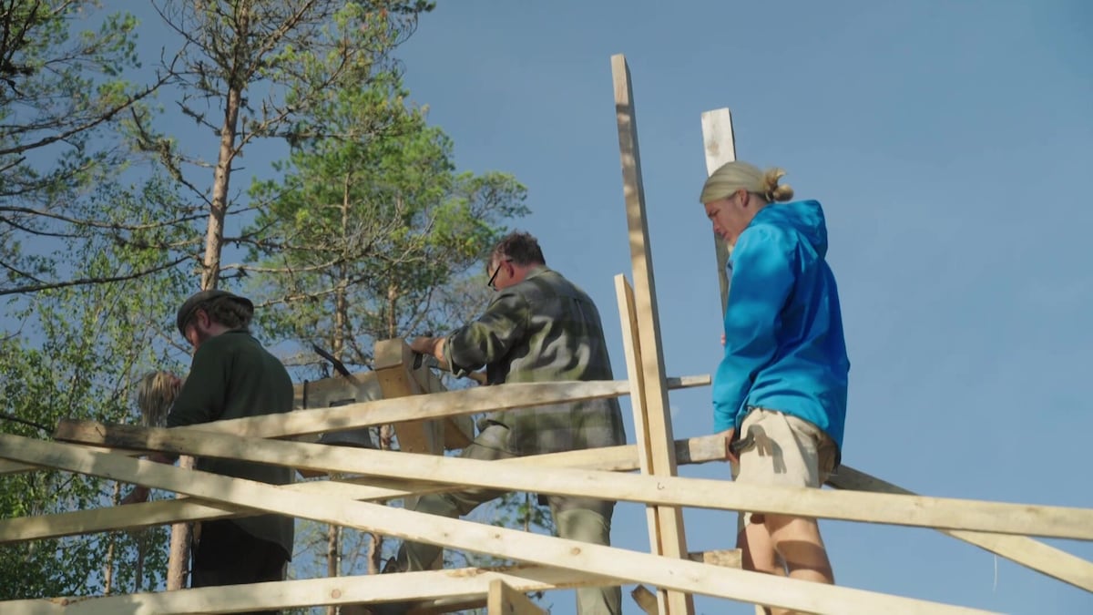 Farmen Norge - Avsnitt 14, Säsong 20