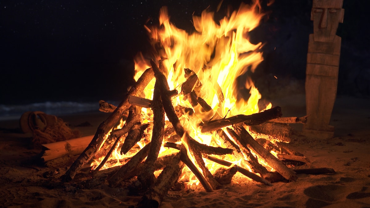 Brasvideo från Robinson - Streama på TV4 Play