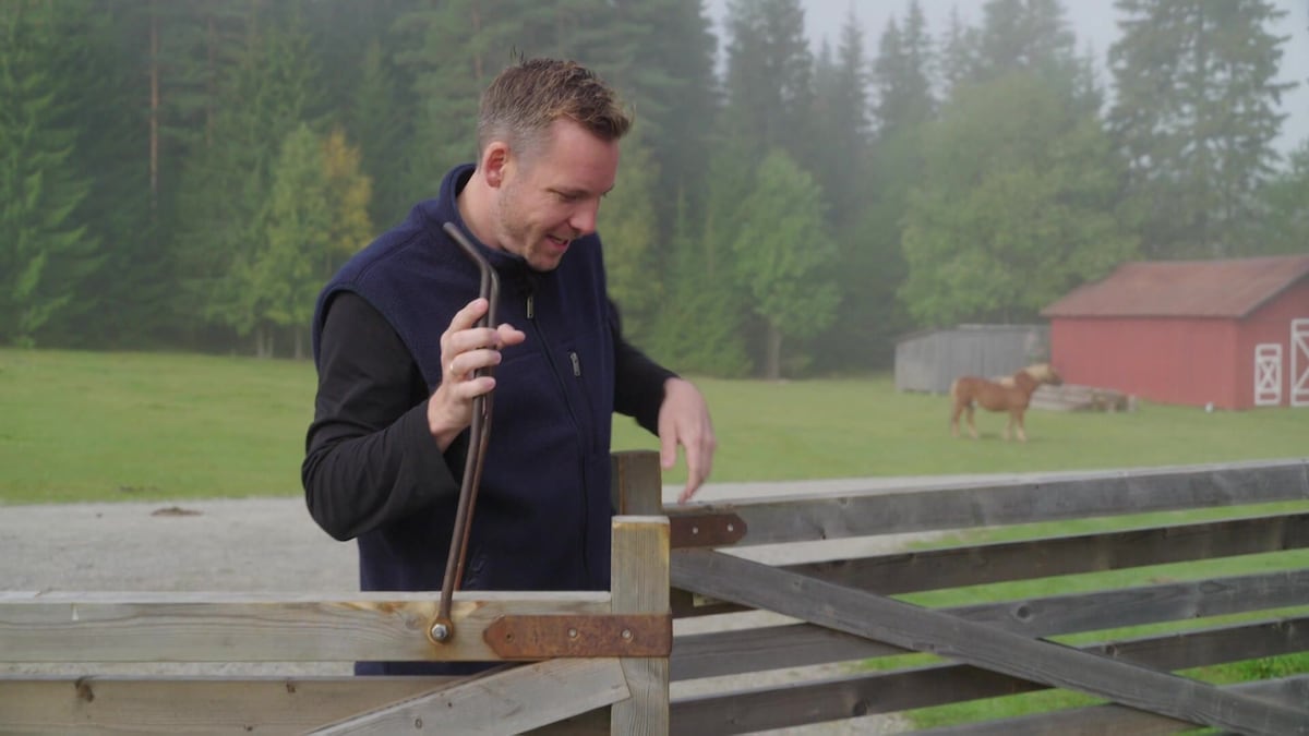 Farmen Norge - Avsnitt 28, Säsong 20