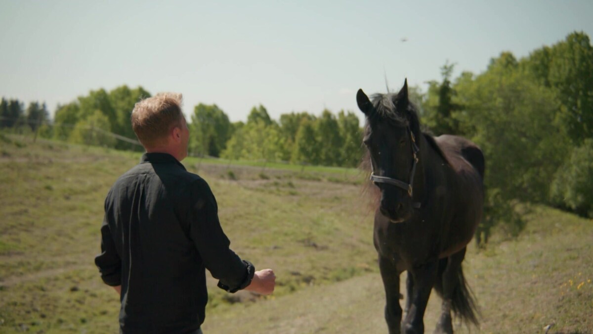 Bonde söker fru Norge - Avsnitt 13, Säsong 20