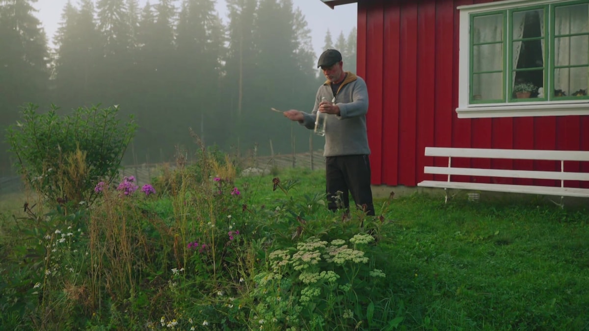 Farmen Norge - Avsnitt 21, Säsong 20