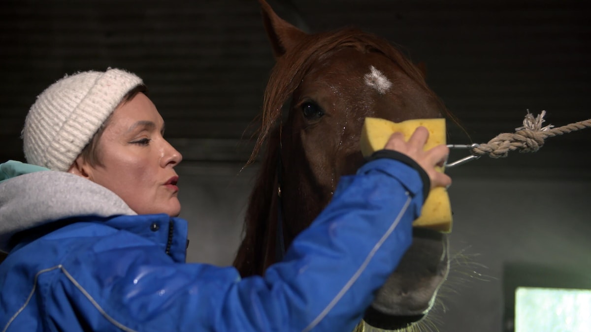 Stjärnkusken - Avsnitt 4, Säsong 2