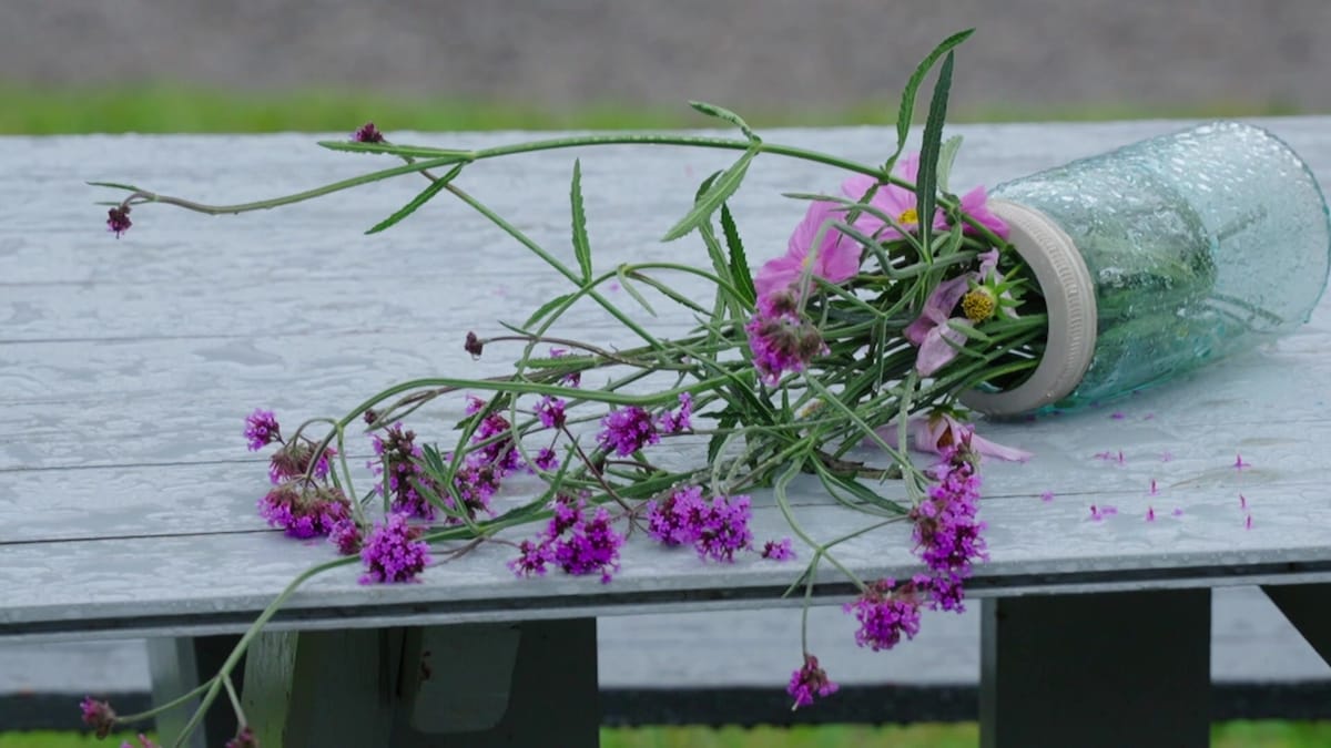 Farmen Norge - Avsnitt 25, Säsong 20